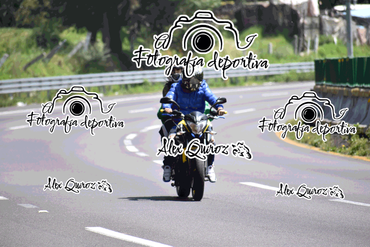 DSC 2608 — Postimages