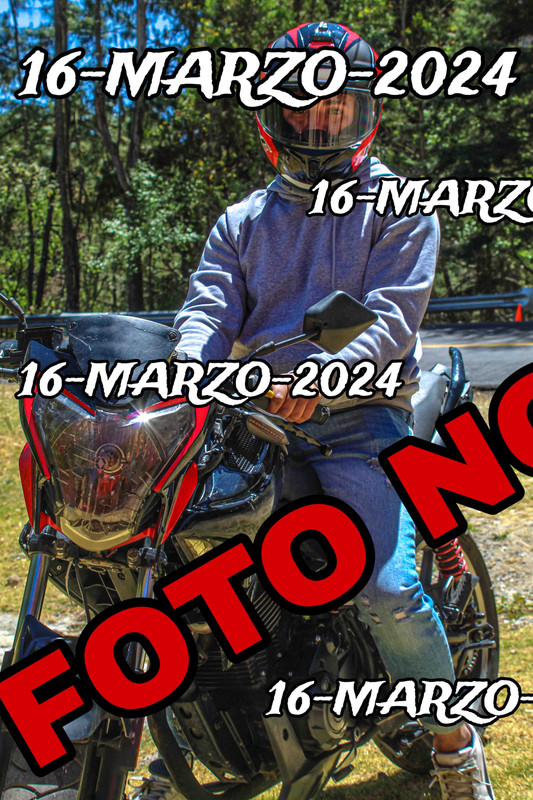 SC 137 — Postimages