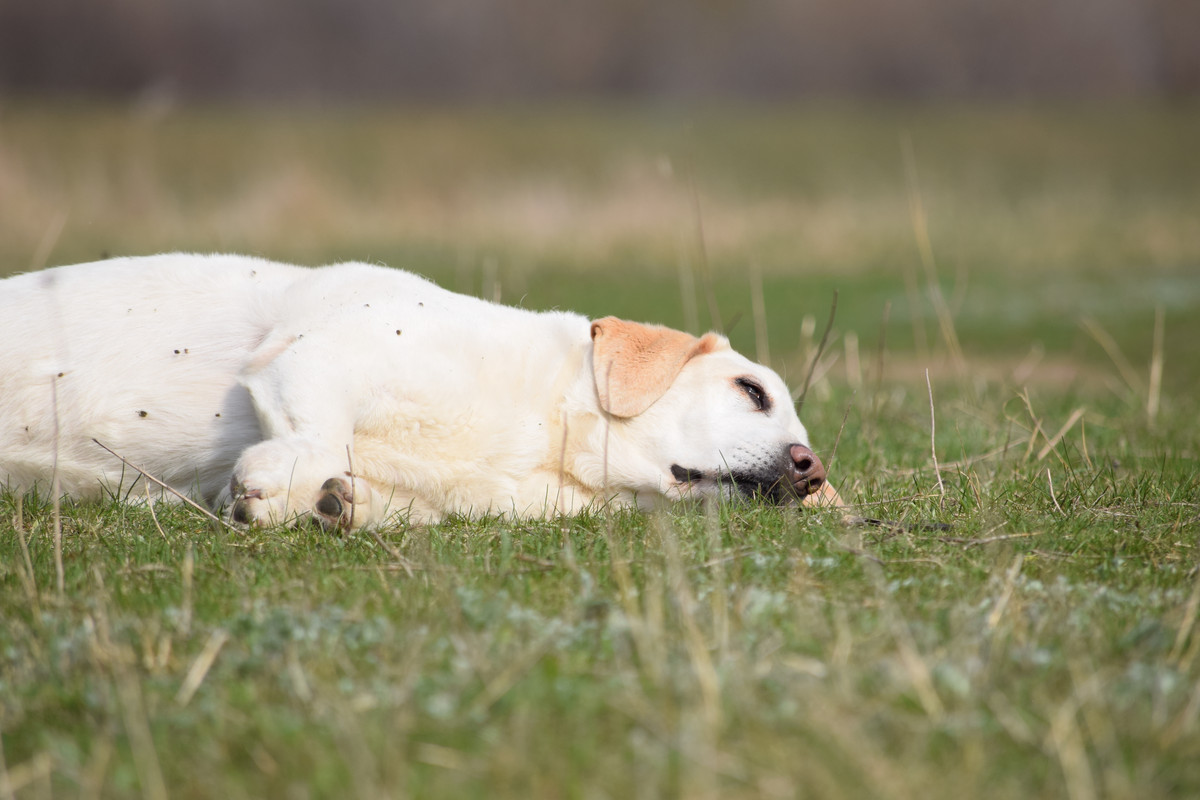 DSC 0618 — Postimages