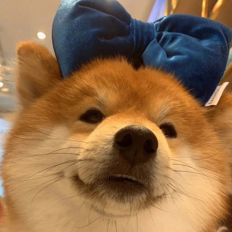 7d347ea5efed0db2ba279db0b15348d6 — Postimages