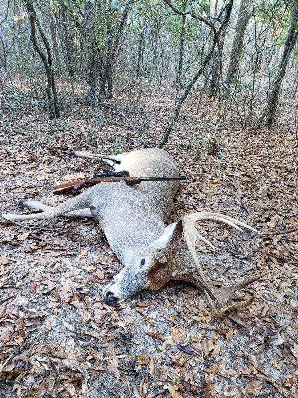 Hunting Rifles 1950-1960 - 24hourcampfire