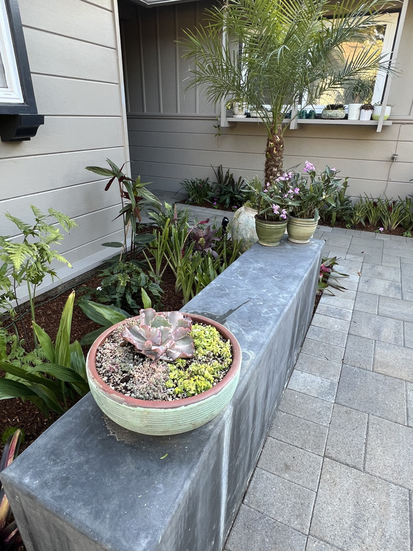 IMG 3443 — Postimages