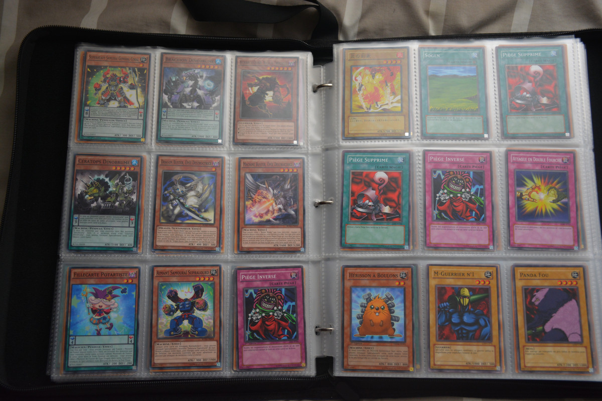 DSC 7487 — Postimages