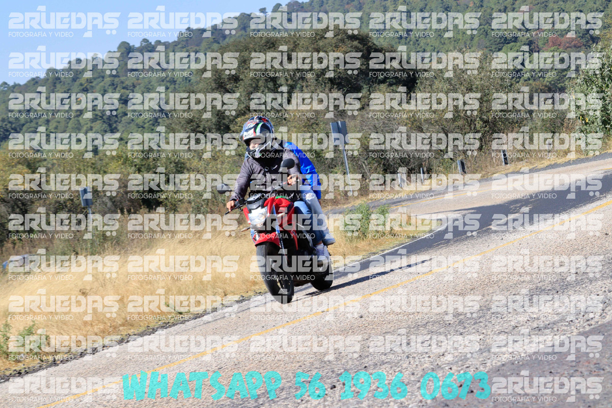 MG 1112 — Postimages