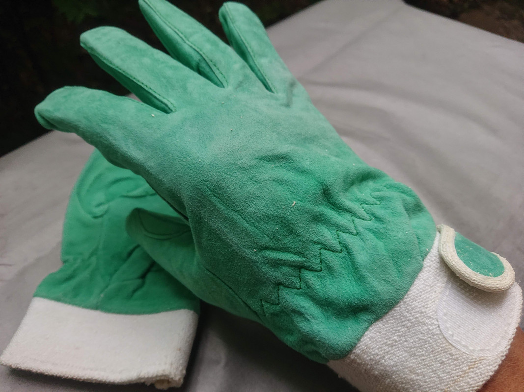 DSC 3102 — Postimages