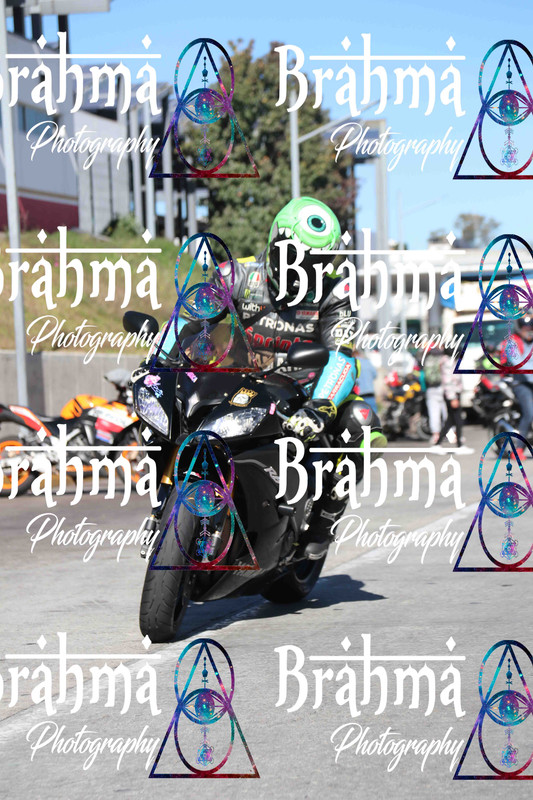 IMG 2135 — Postimages