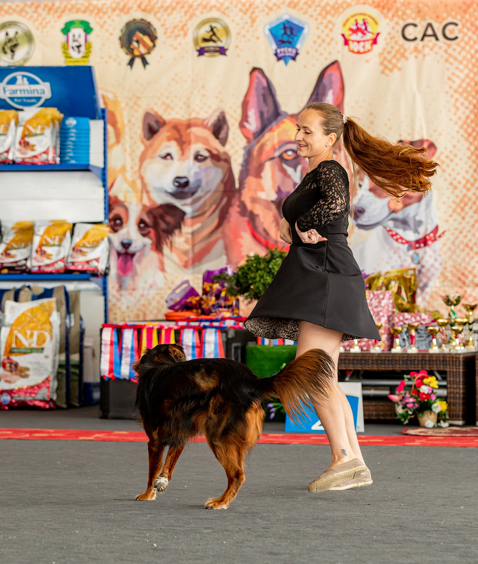 1894 CR2 — Postimages