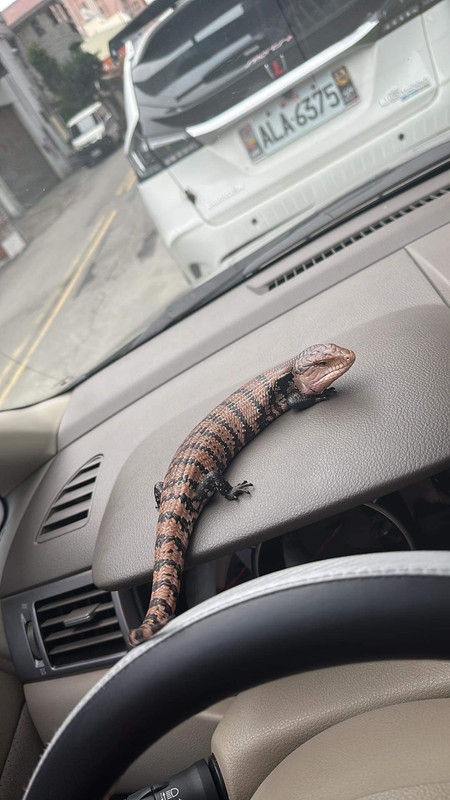 4414024 D EE35 4110 A073 F0078211 D5 DB — Postimages