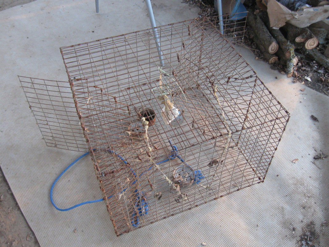 IMG 2986 — Postimages