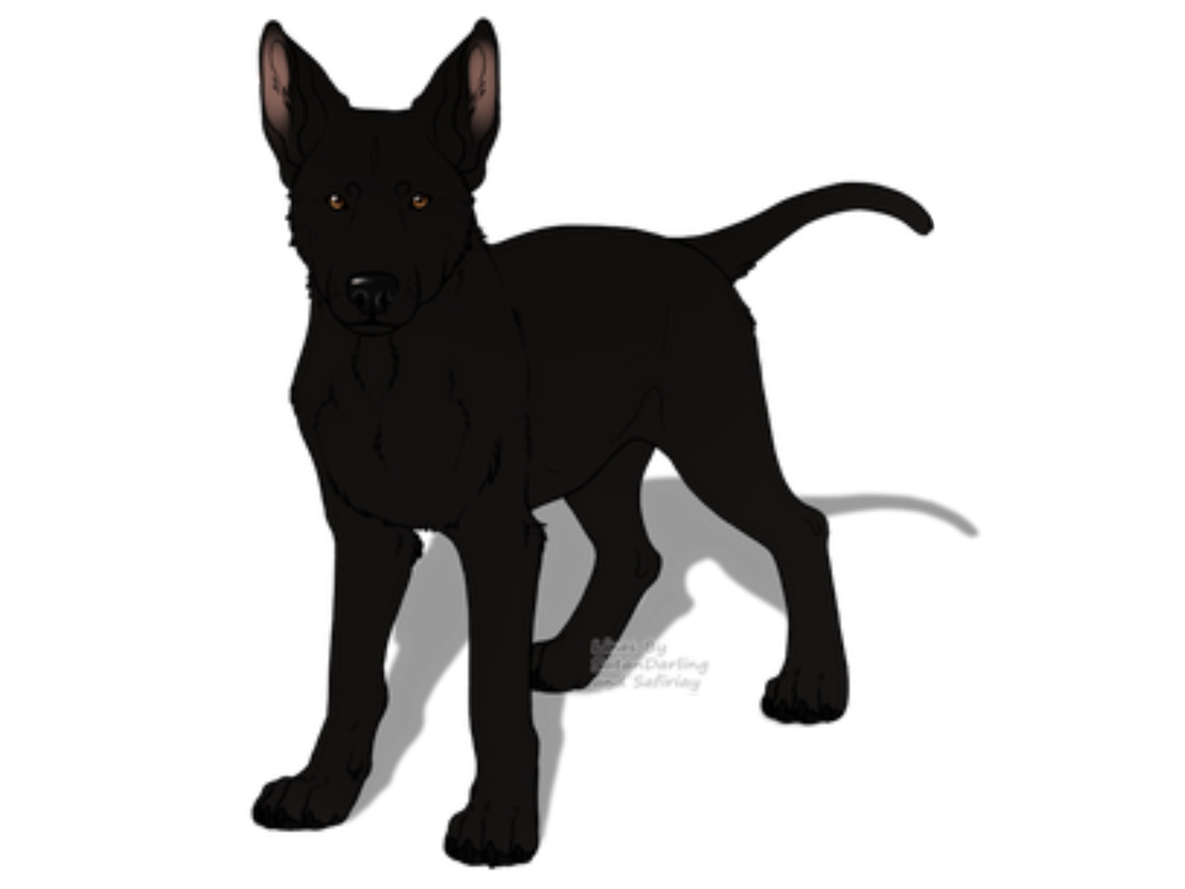 684 B9367 B868 424 D AE8 F 304 AE8929 FC5 — Postimages