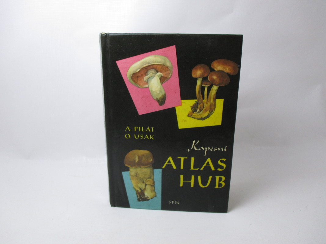 IMG 0089 — Postimages