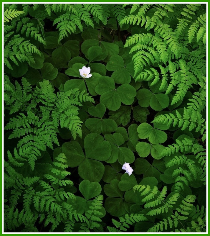 FBE37323 2 E5 B 4020 A301 1 C8 F22604329 — Postimages