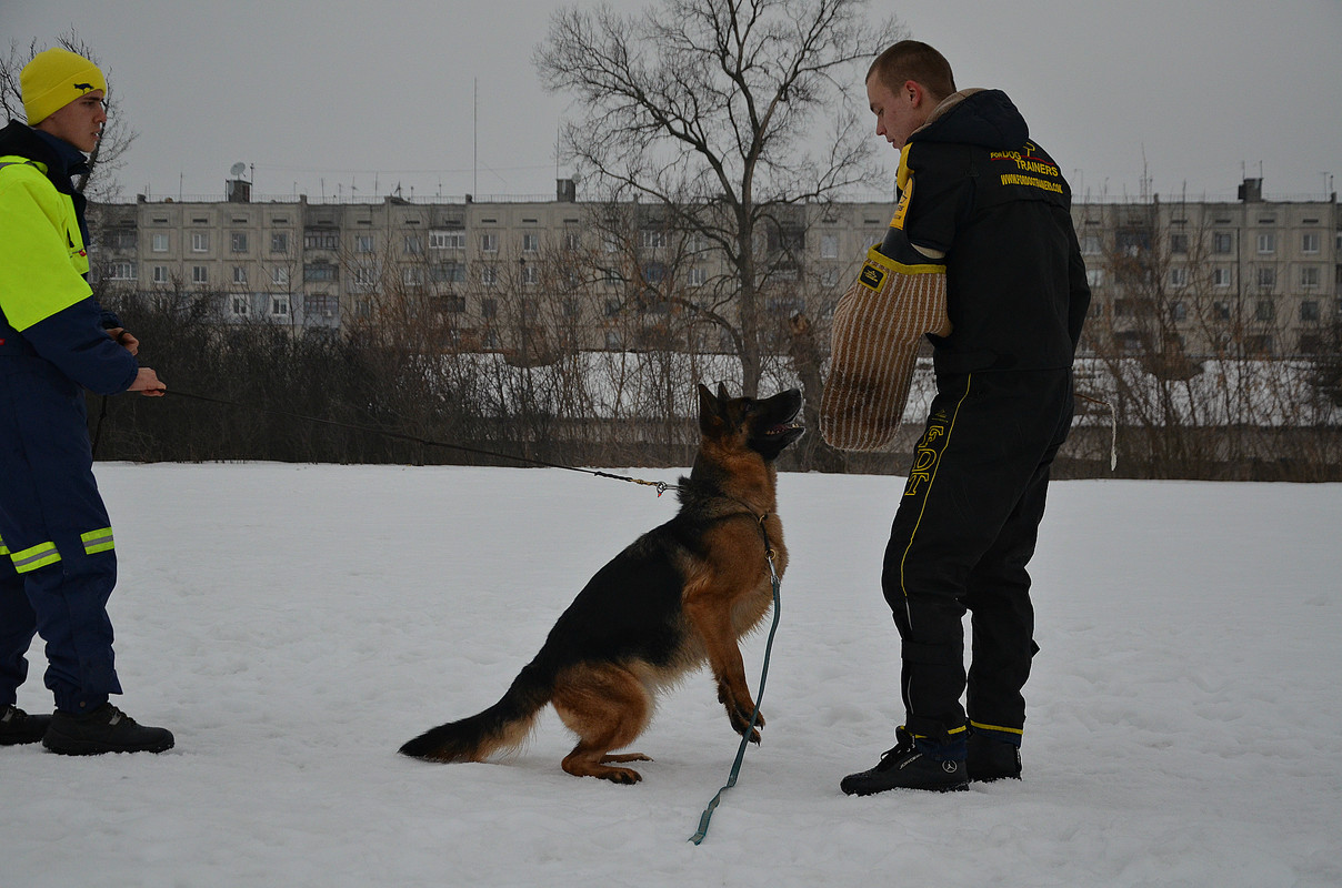 эля 65 — Postimages