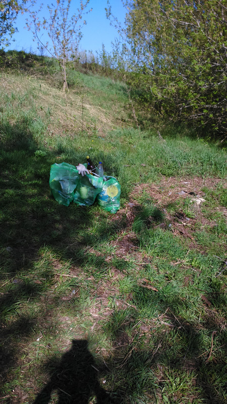 DSC 0242 — Postimages