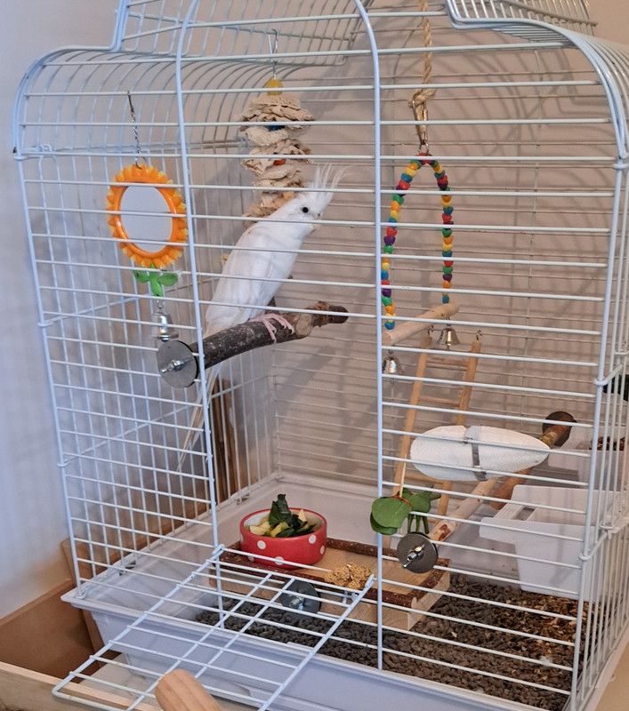 20240317 095054 — Postimages