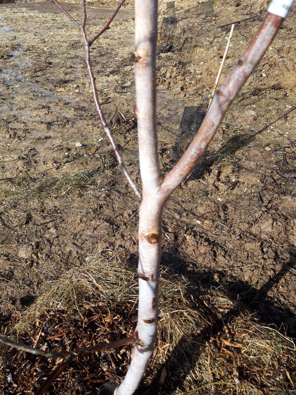 20240223 133905 — Postimages