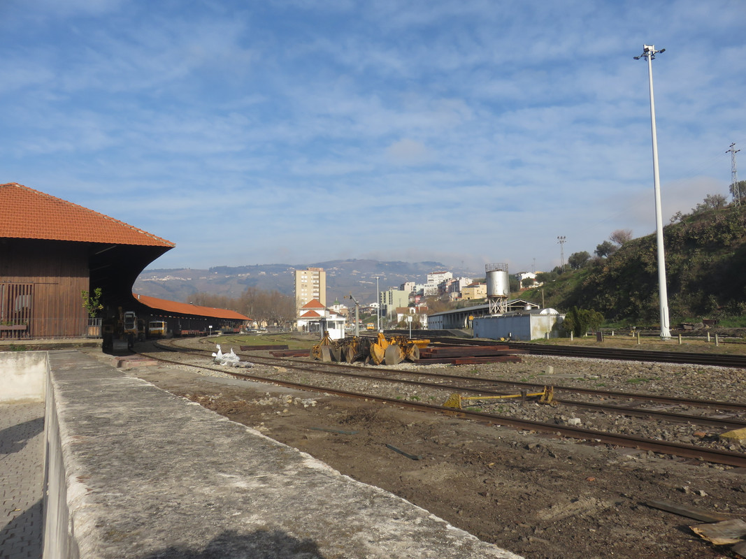 IMG 6528 — Postimages