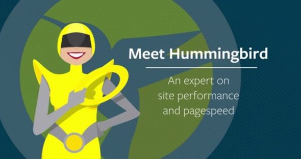 WPMU DEV Hummingbird Pro Wordpress Plugin – Bliter GPL