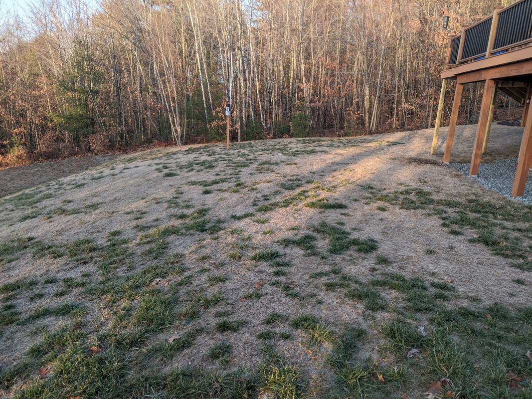 lawn bad — Postimages