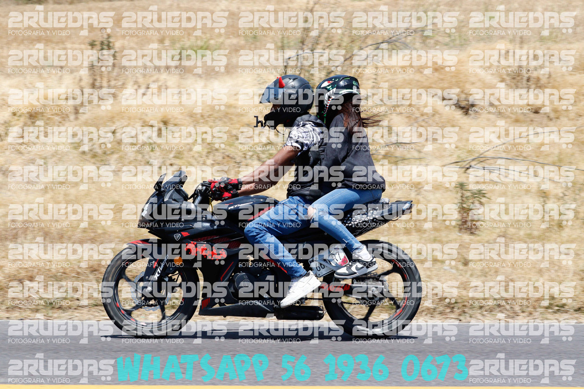 MG 1142 — Postimages