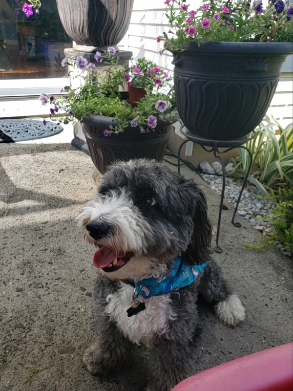 20240609 161127 — Postimages