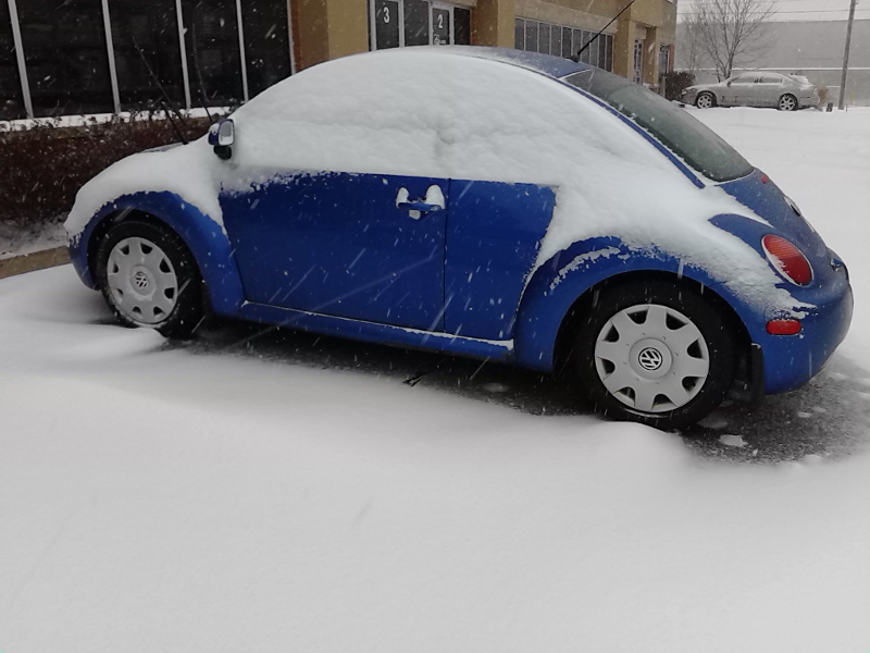 Post Examples of Your Favorite Car-Color | VW Vortex - Volkswagen Forum