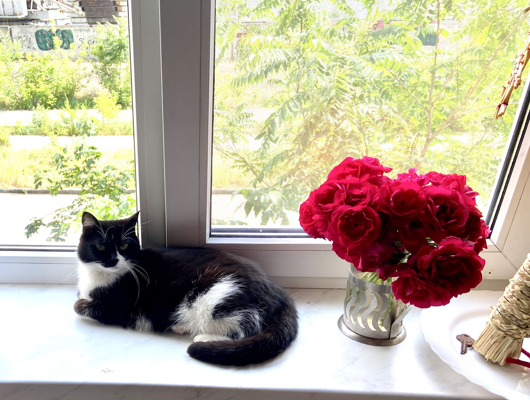 IMG 0789 — Postimages