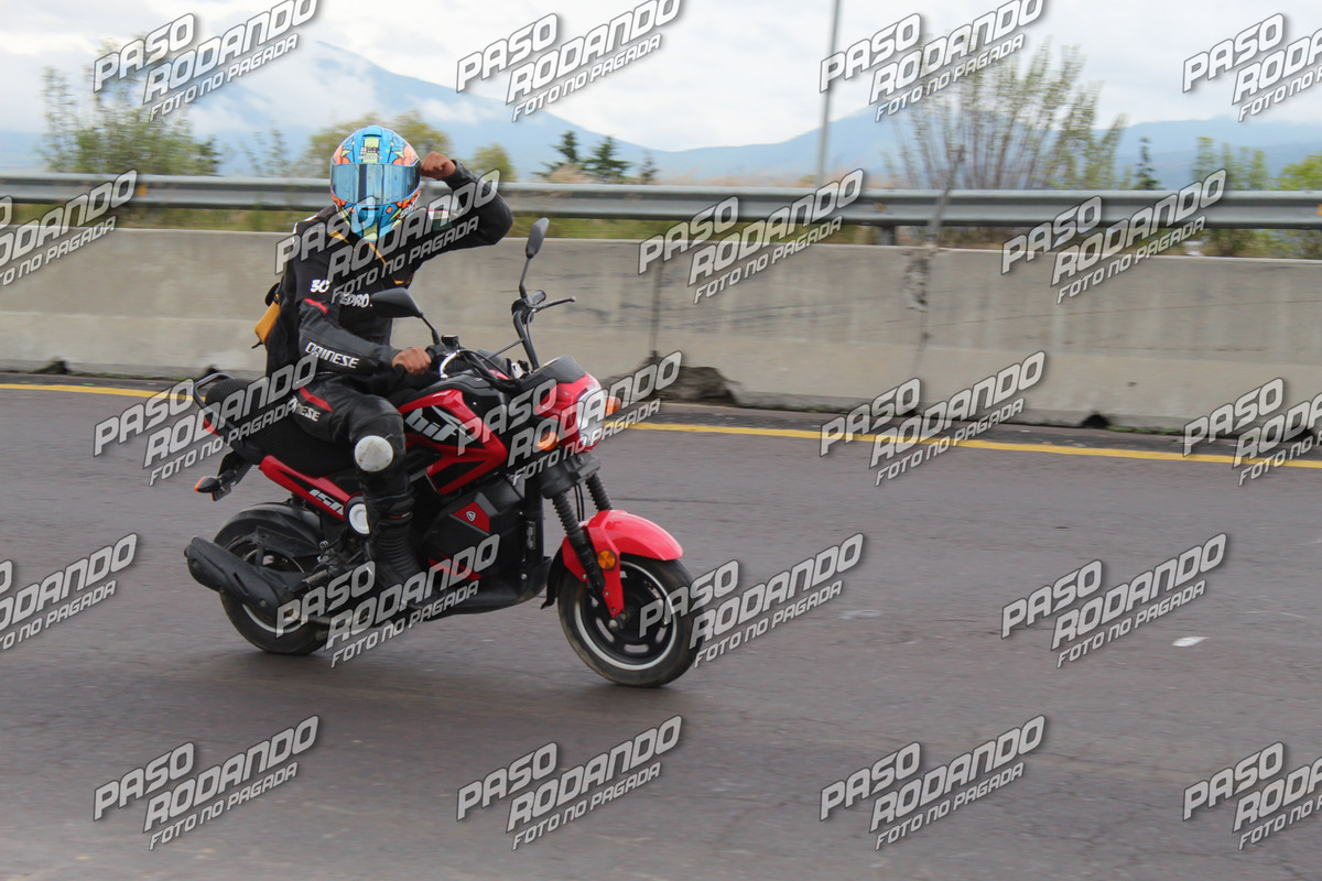 IMG 2902 wm 10432624 299999999 watermarked — Postimages