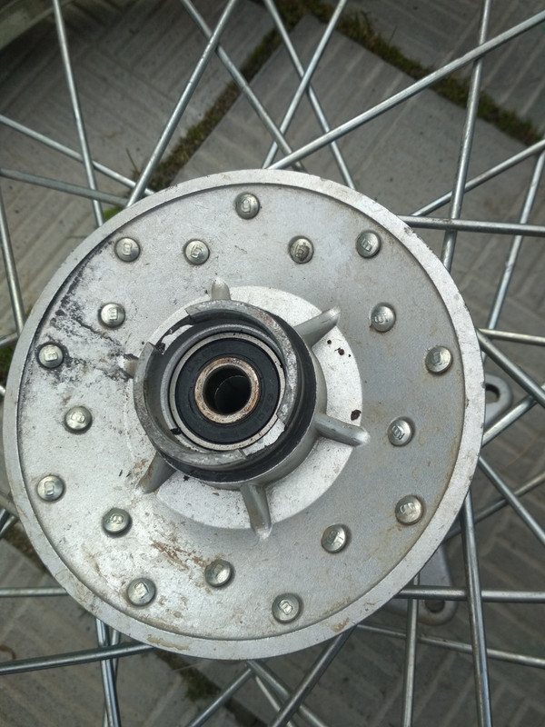 IMG 20230824 133355 — Postimages