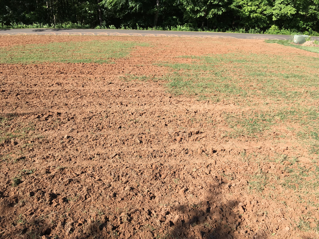 Experiment: Beat Snot Out of Lawn + 1000 lbs Milo + Poor Man's Leveling ...