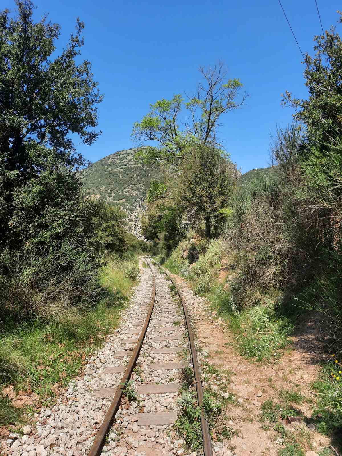 εικόνα Viber 2024 04 14 20 15 40 185 — Postimages