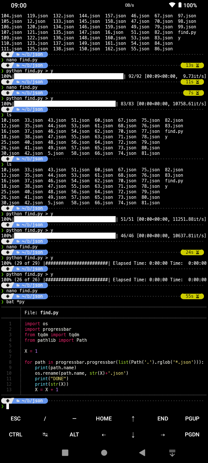 Can anyone tell me where did the files go? Did the renaming overridden somehow? : r/learnpython
