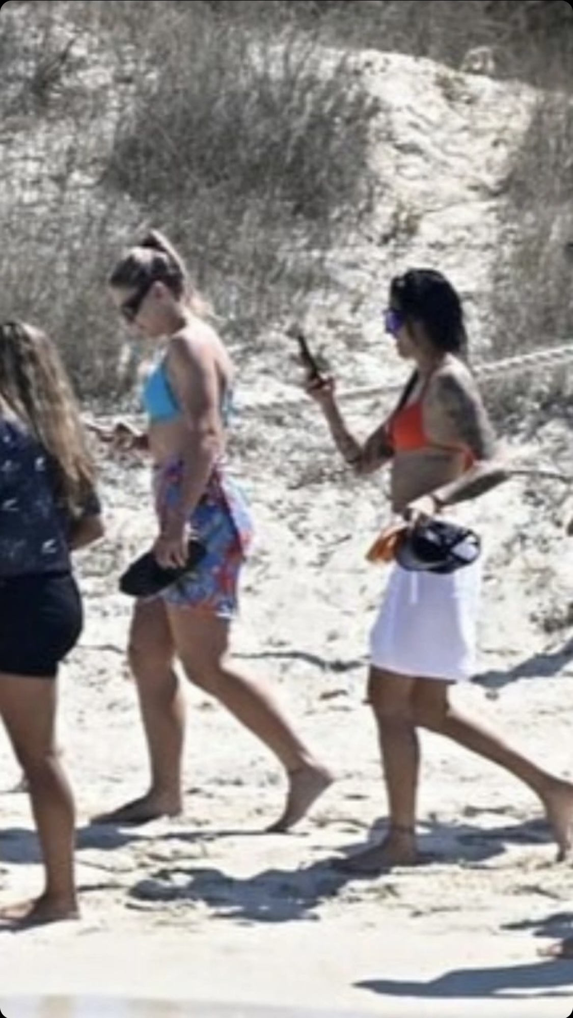 IMG 8243 — Postimages