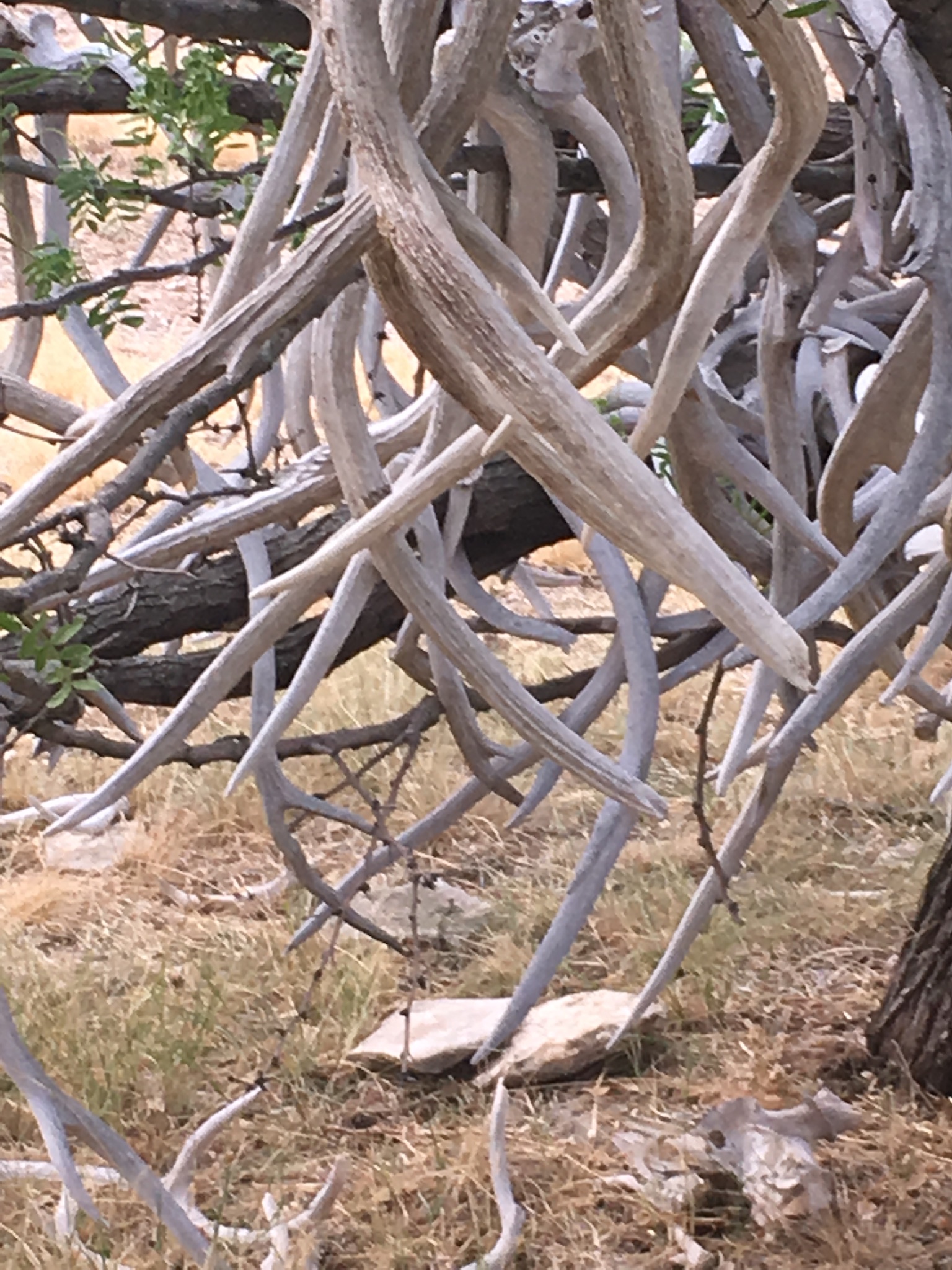 552 F8 AC9 AFDF 486 B 9406 EDE9723 E76 EF — Postimages