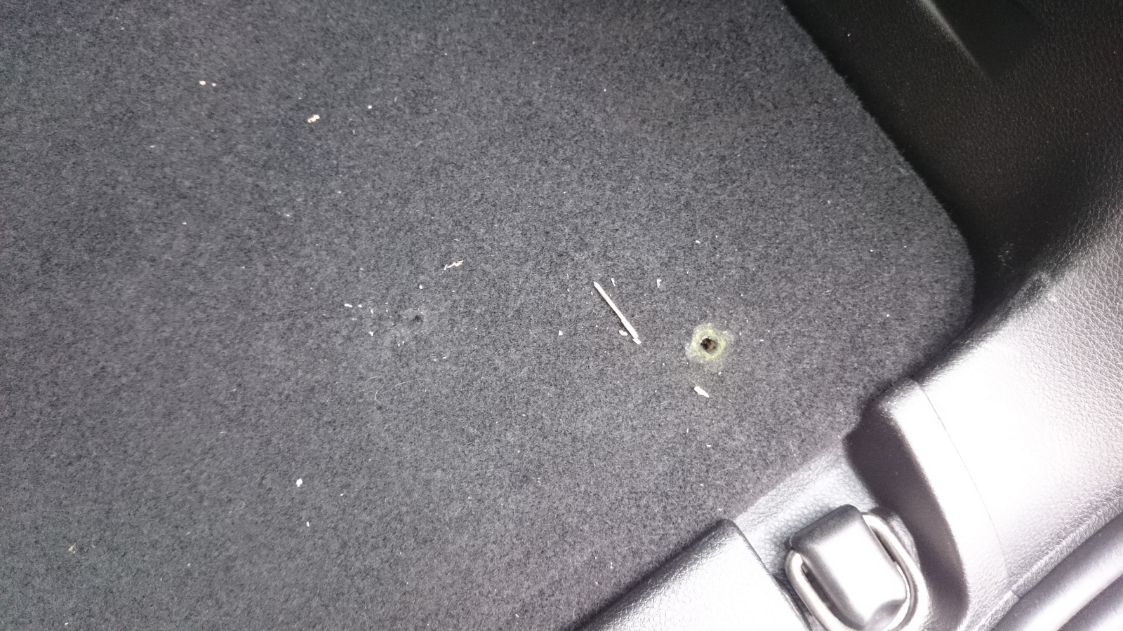 DSC 0856 — Postimages