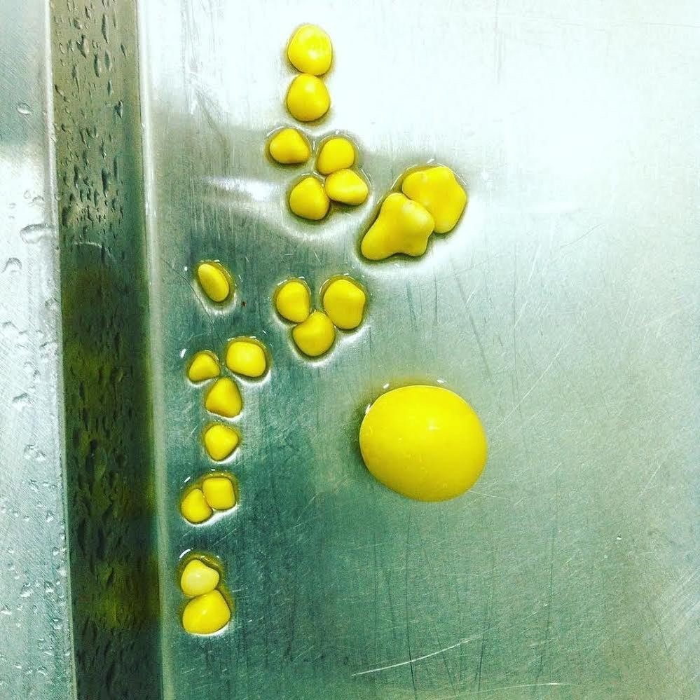 307579924 3231980333729029 2223386516784357779 n — Postimages