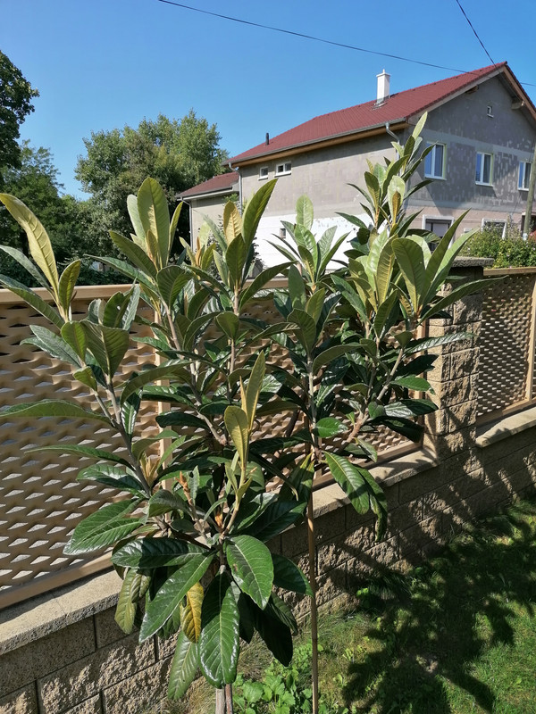 IMG 20200920 132515 — Postimages