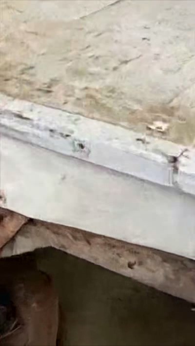 Untitled 000008 — Postimages