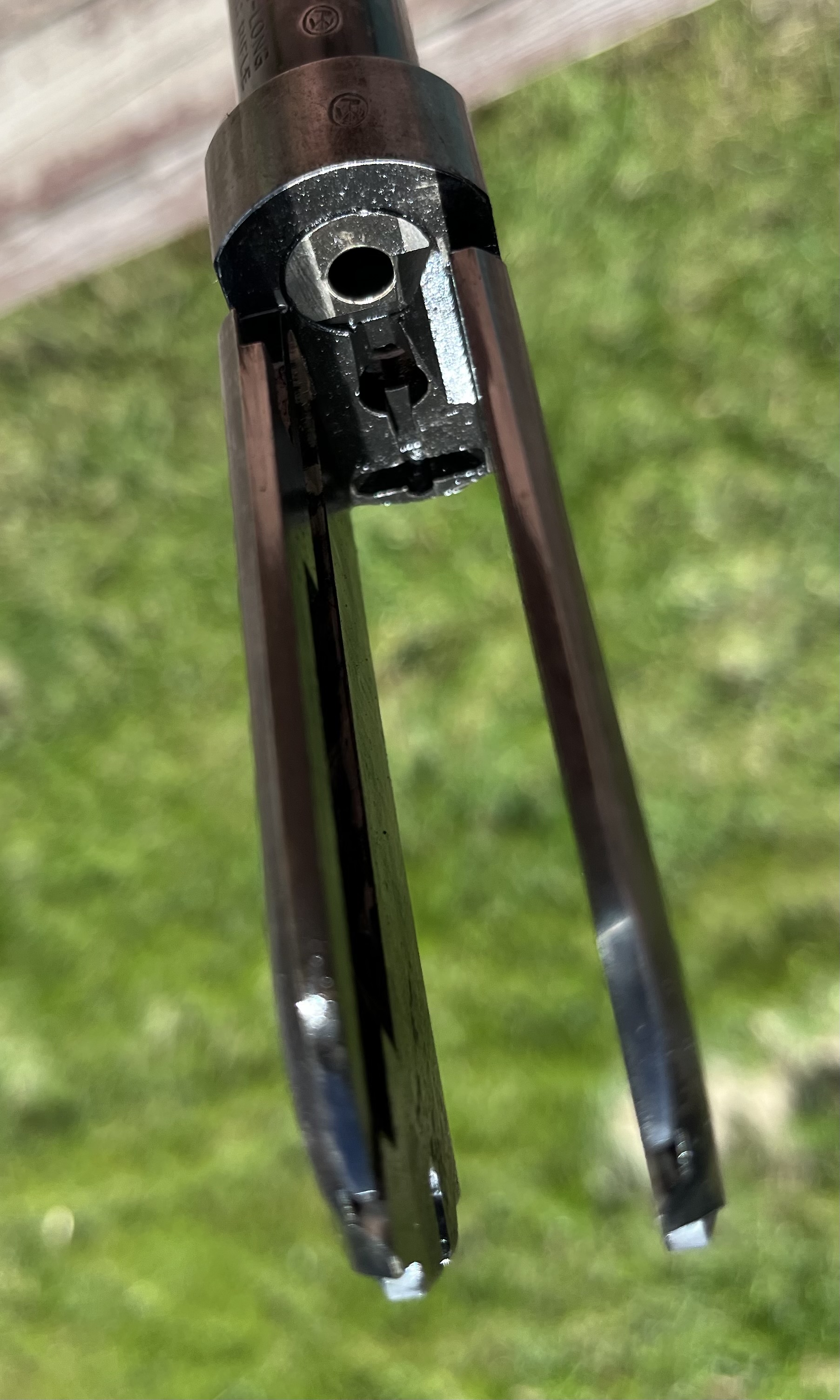 IMG 1935 — Postimages