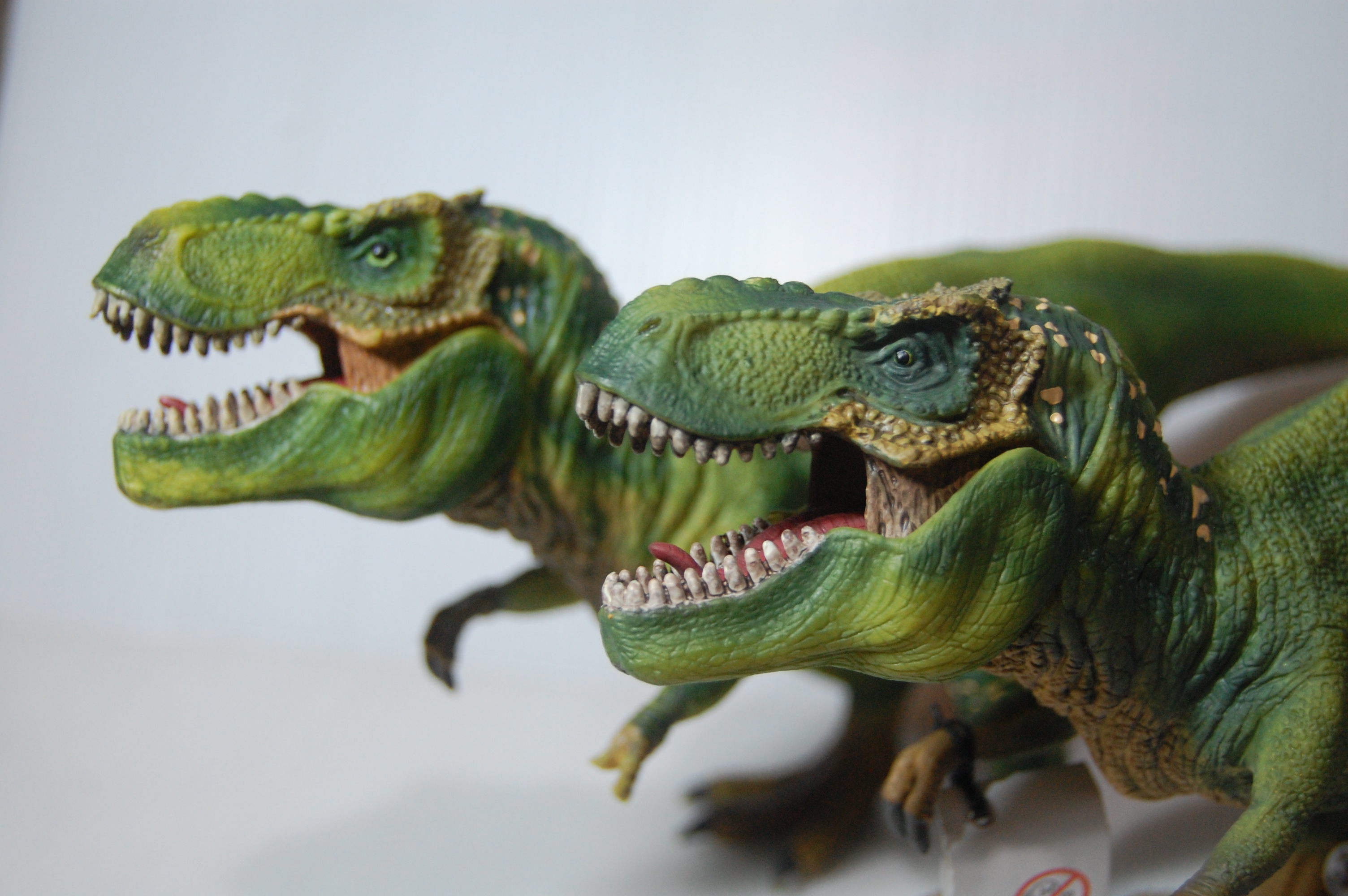Schleich T rex — Postimages
