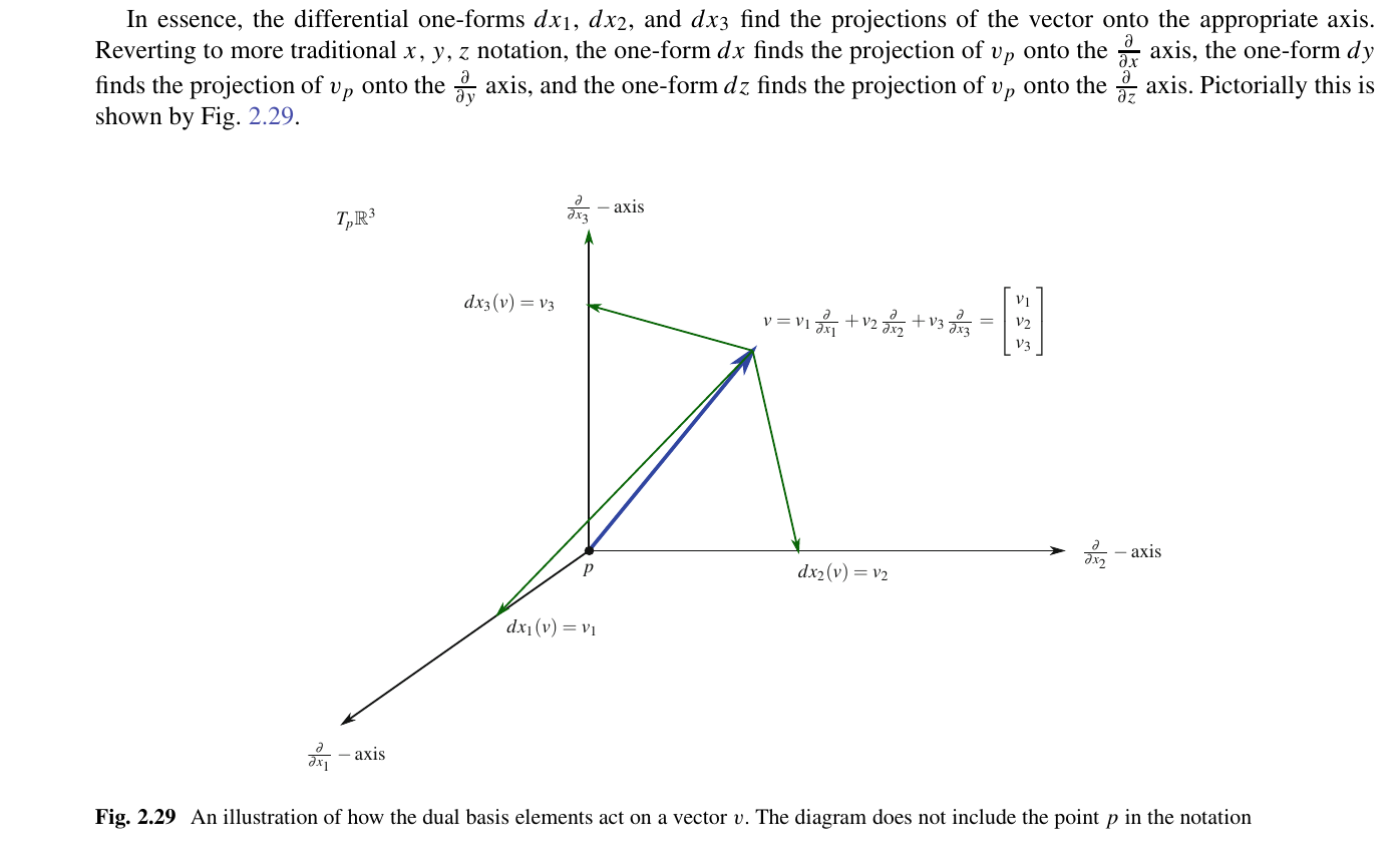 projected length — Postimages