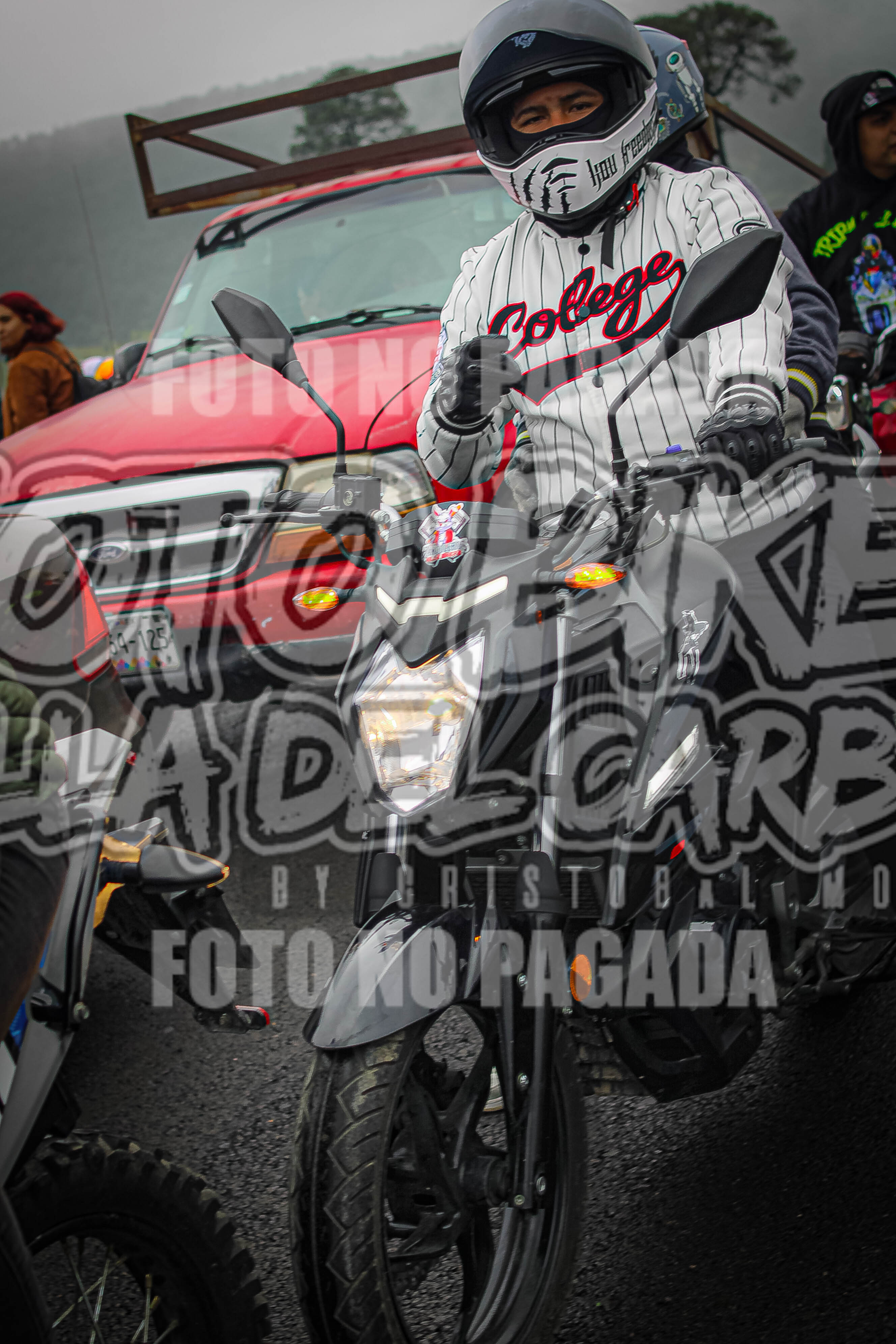 pald2 3001 — Postimages