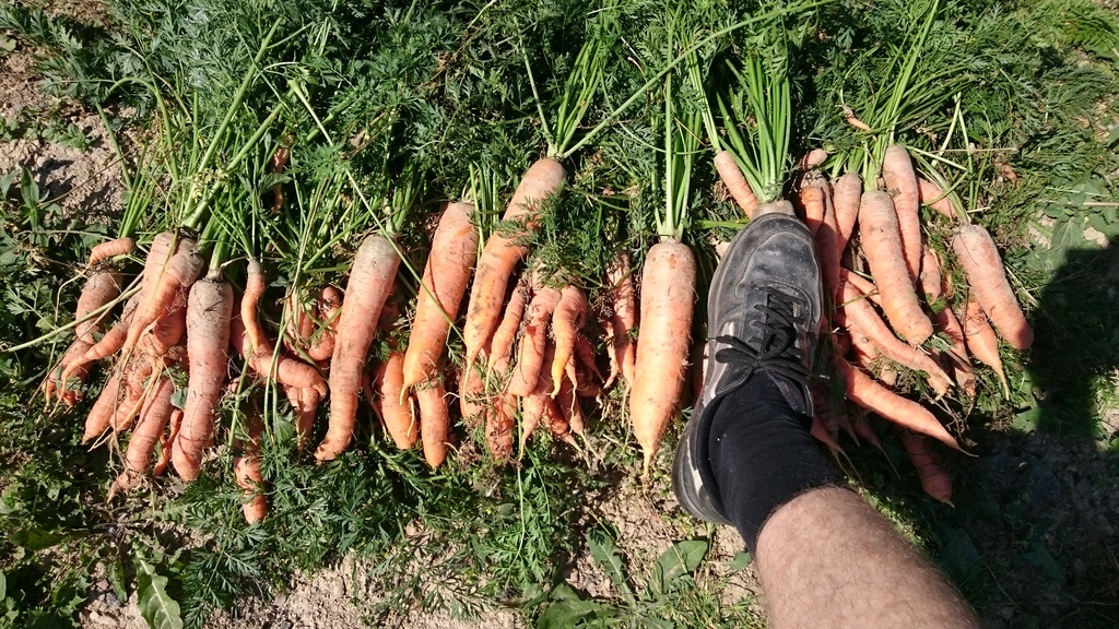 DSC 0141 — Postimages