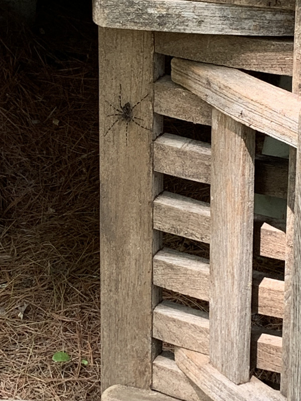 IMG 0551 — Postimages