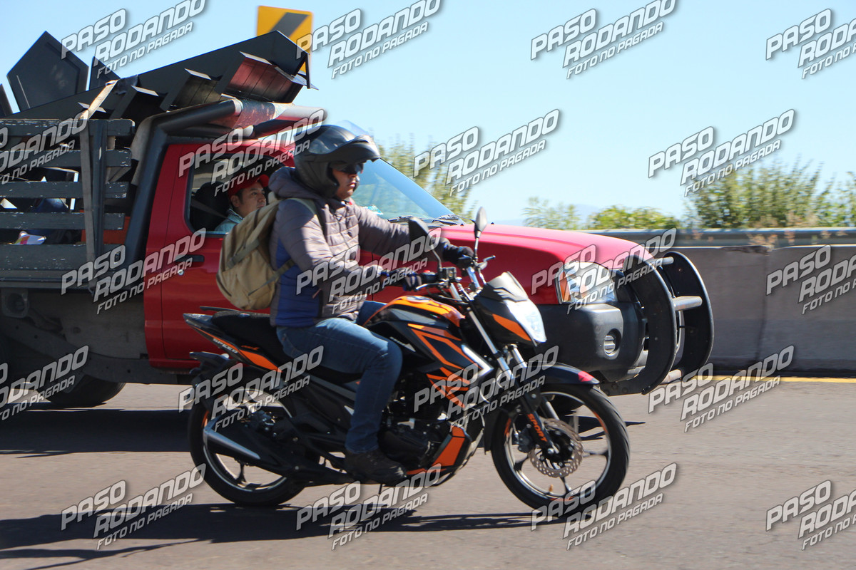 IMG 2724 wm 8433036 7 watermarked — Postimages