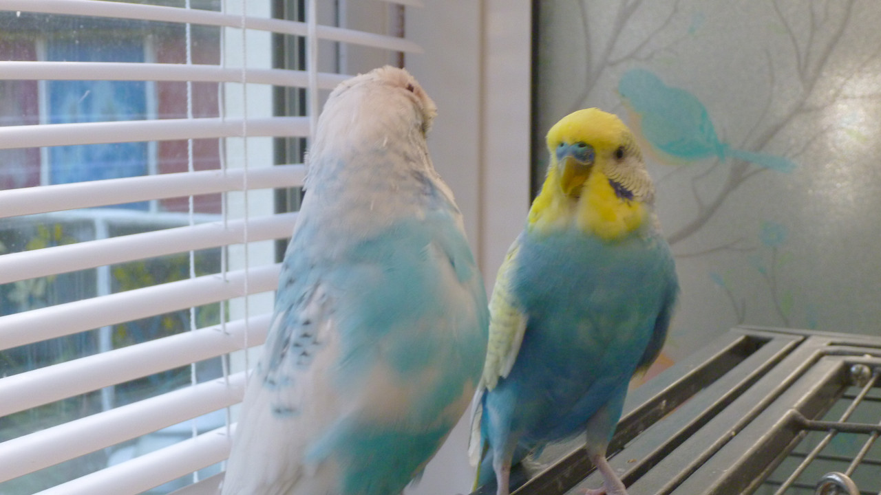 P1110714 — Postimages