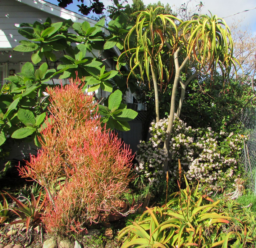 IMG 5317 — Postimages