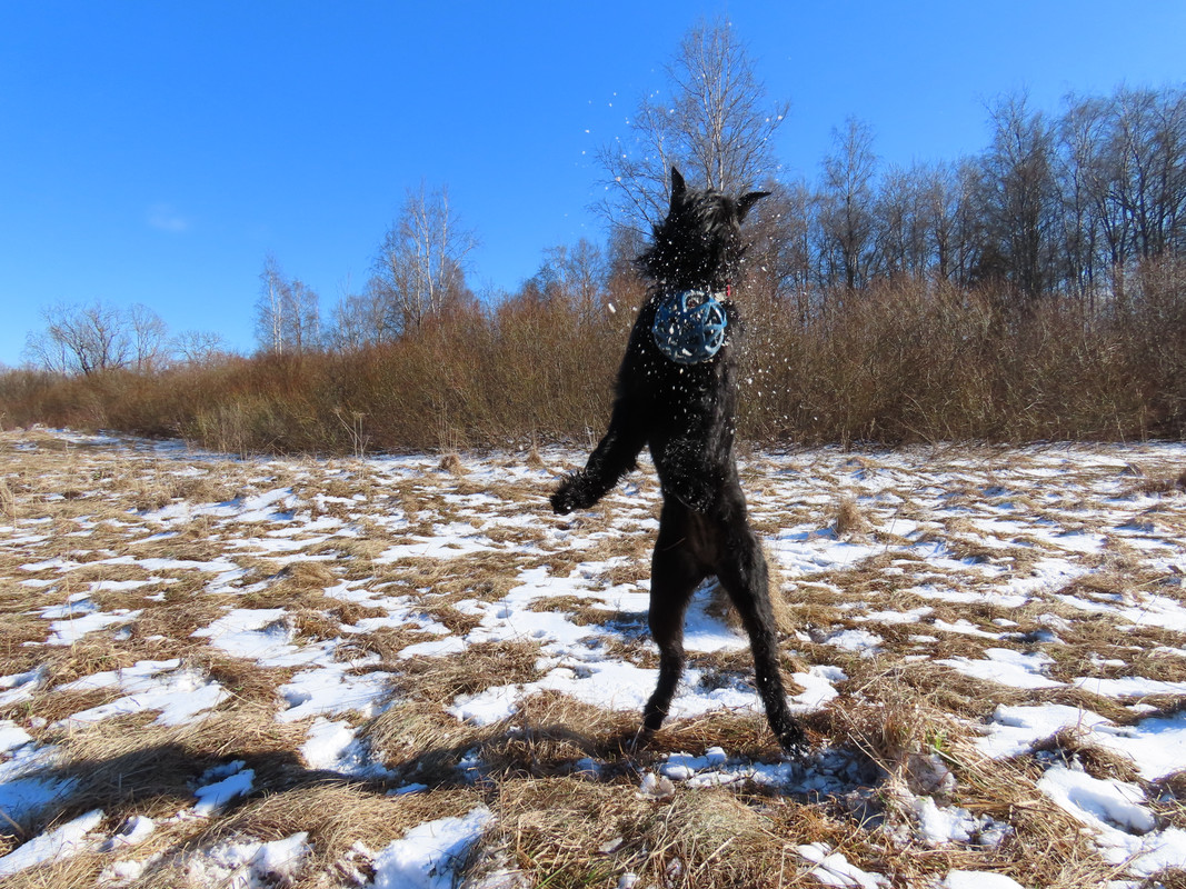 IMG 4322 — Postimages