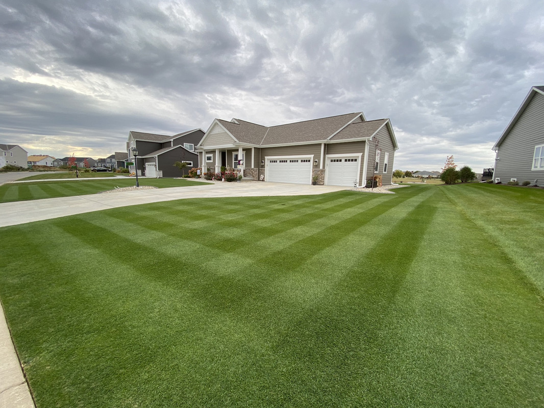 ReelWILawn Bewitched, Bluebank, Blue Note KBG Renovation | Page 14 ...