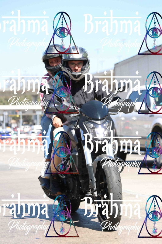 IMG 3936 — Postimages